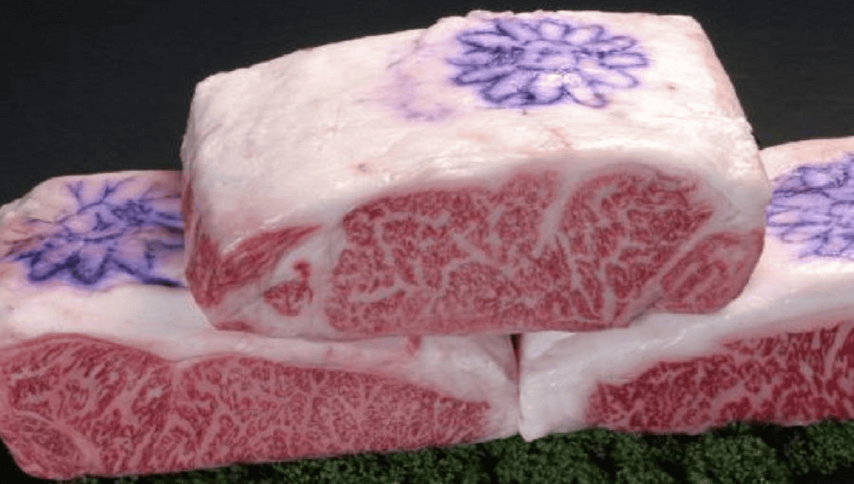 Kobe Beef Explained: What Makes It the World’s Most Expensive Steak
