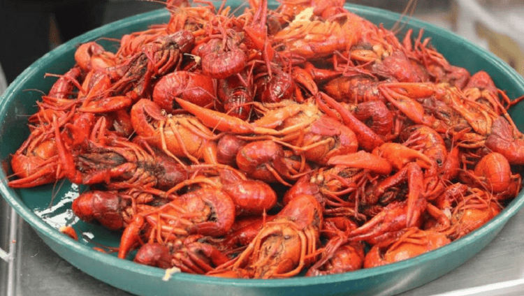 Master the Art of Eating Crawfish with Our Comprehensive Guide!