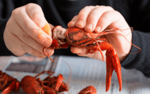 Your Guide on How to Eat Crawfish Properly