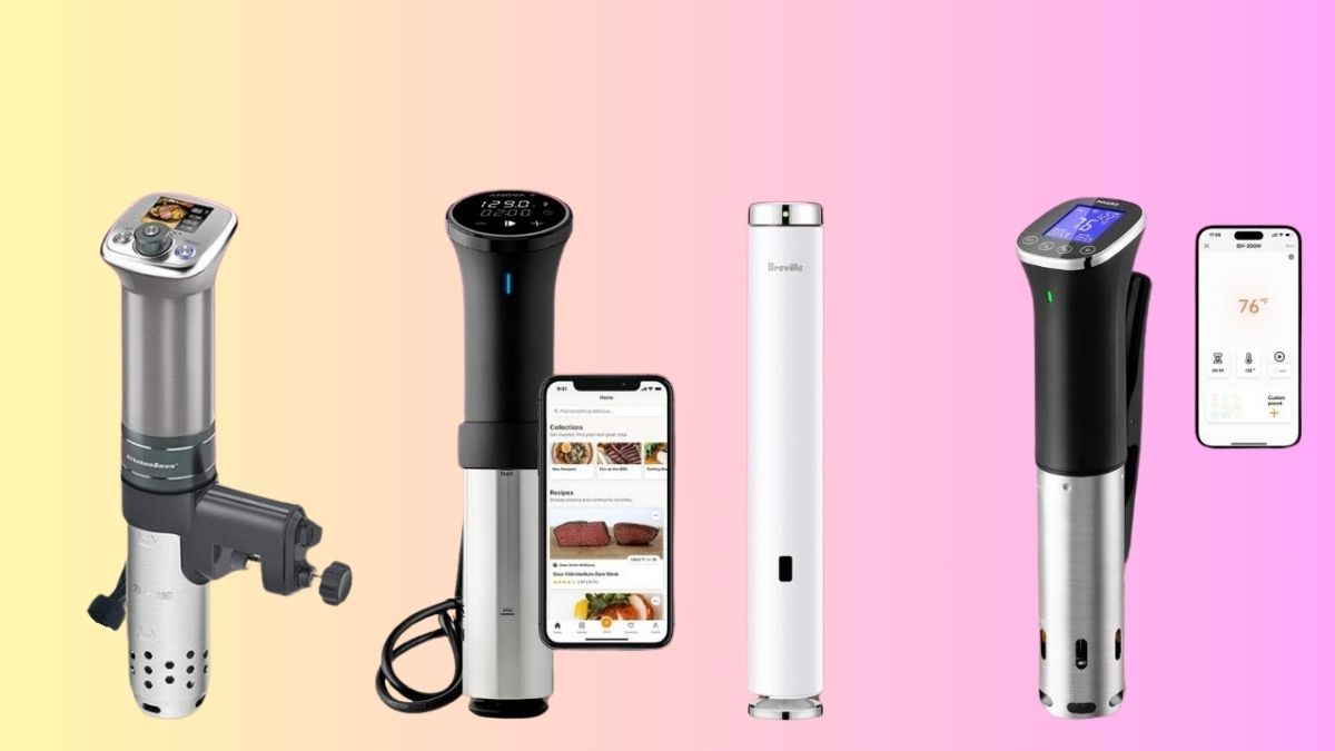 Sous Vide Starter Kit: The Best Beginner Sets for Precision Cooking